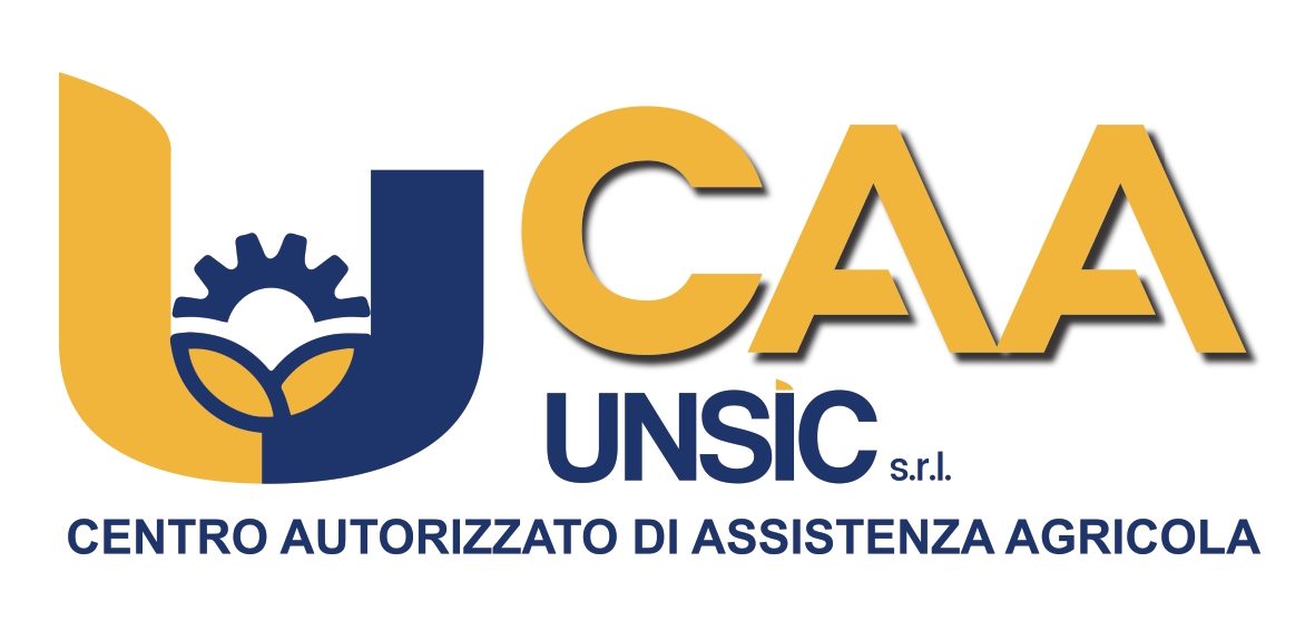 Caf Unsic – Centro Assistenza Fiscale Unsic